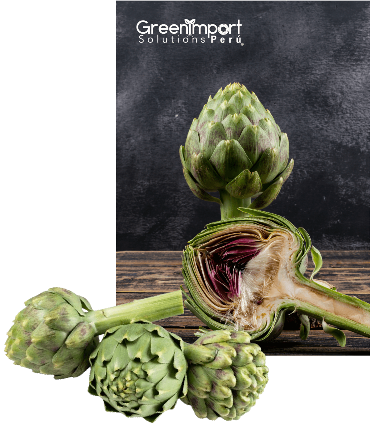 Inicio | Green Import Solutions | Empresa importadora de productos